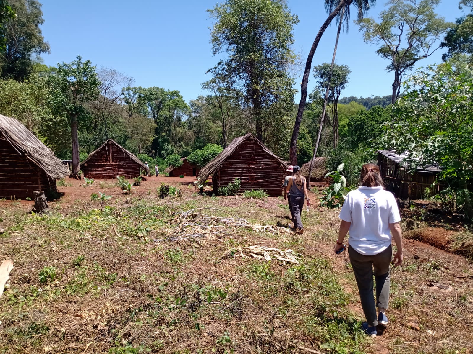 Mundo Sano - Nuestra historia